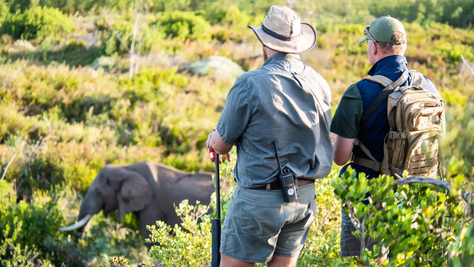 Slackpacking in South Africa: The 50 Best Hiking Trails