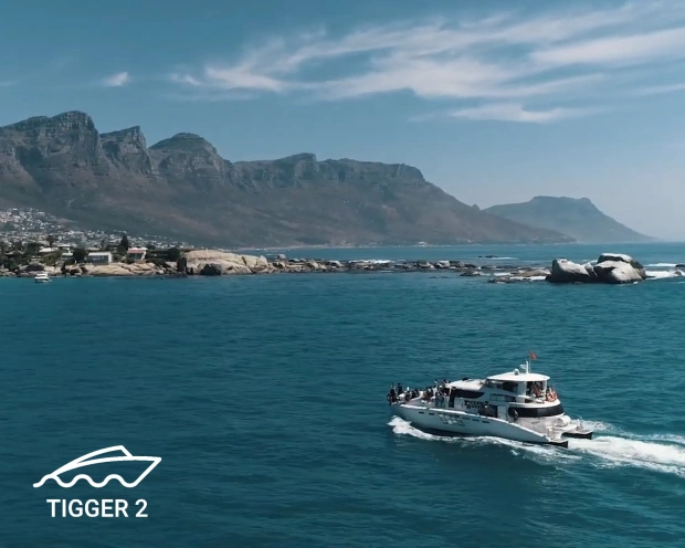 Tigger 2 | Clay Pigeon Shooting - Dirty Boots