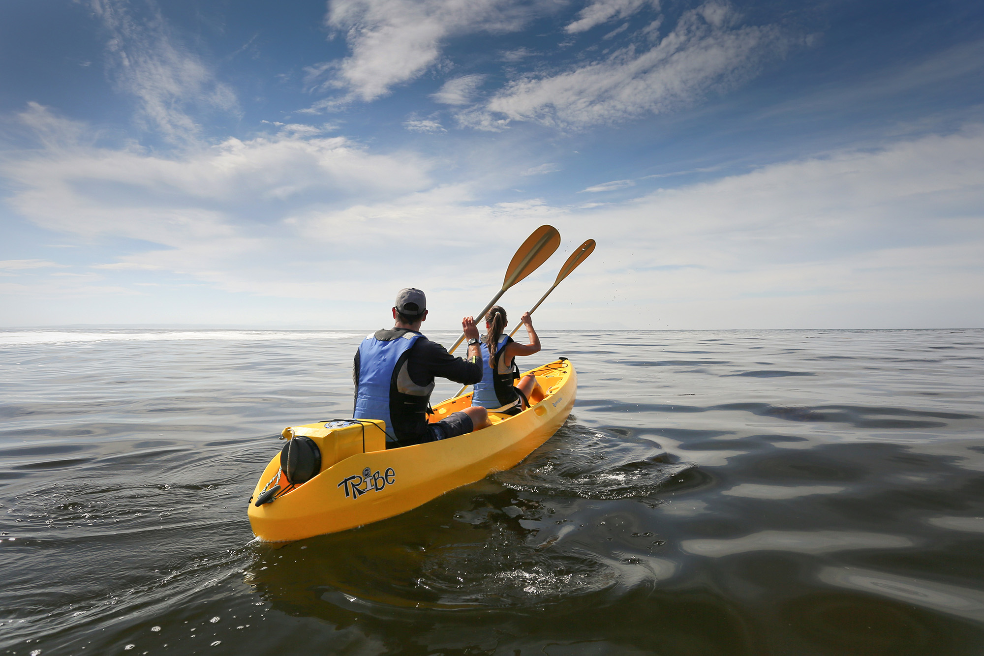 Walker Bay Adventures | Sea Kayaking in Hermanus | Hermanus Kayak Trips ...