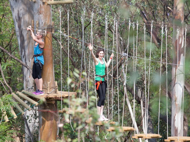Acrobranch Adventure Park | Acrobranch in Cape Town | Family Activities ...