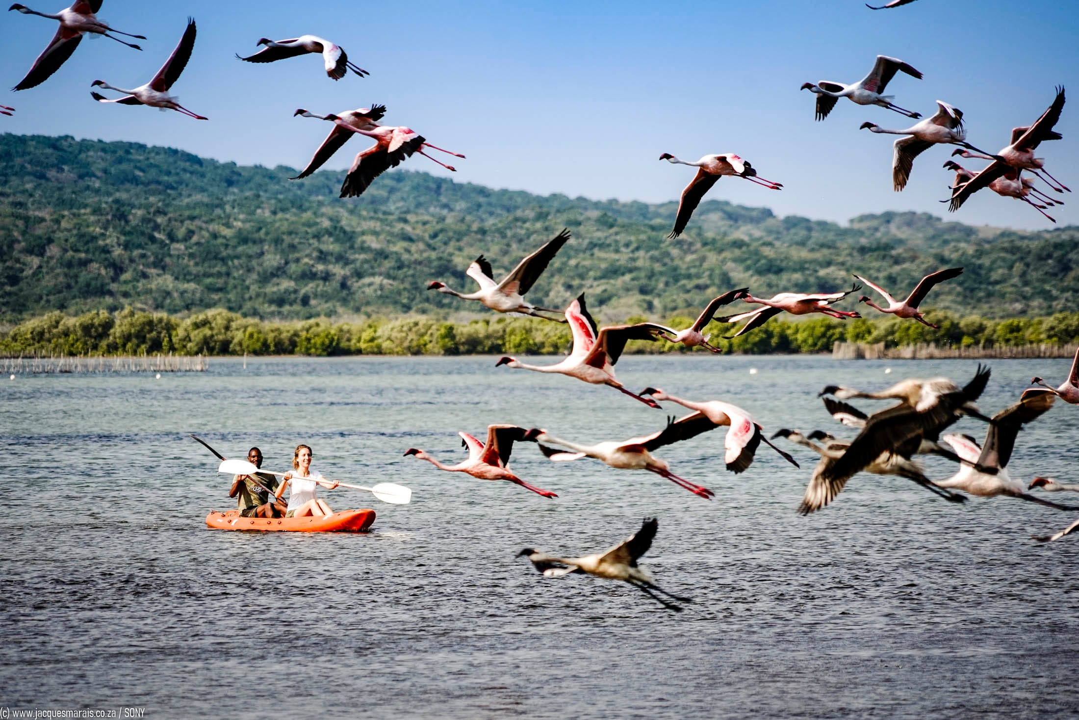 The Best Adventure Holidays in South Africa: Top 10